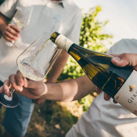 Подарете си хубави вино и споделени моменти с "Винен тур с редки ...