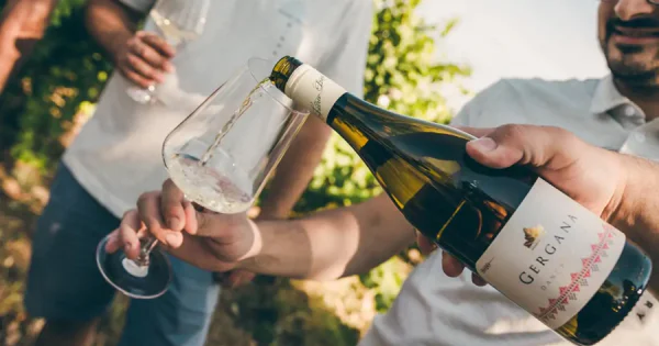 Подарете си хубави вино и споделени моменти с "Винен тур с редки ...